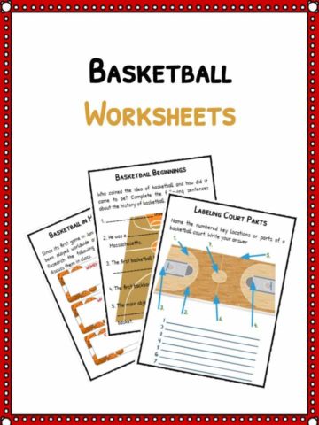 Sports Facts and Information for Kids • Kids Konnect