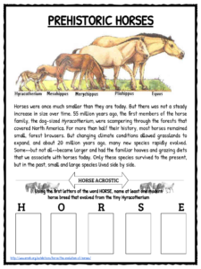 Horse Facts, Breeds, History, Behavior, Worksheets for Kids | KidsKonnect