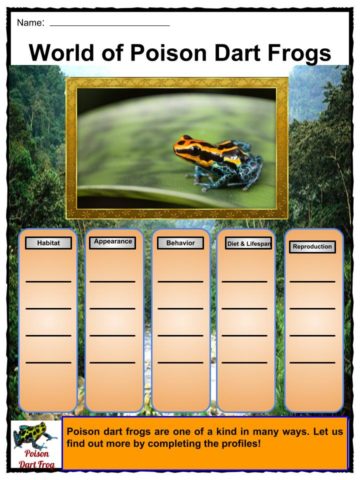 Poison Dart Frog Facts & Worksheets for Kids | Habitat, Appearance, Diet