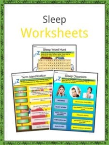 Sleep Worksheets & Facts | Function, Patterns, Disorders, Tips