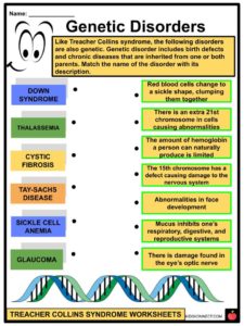 Treacher Collins Syndrome Facts & Worksheets For Kids