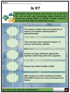 Bacteria and Viruses Facts, Worksheets & Basic Information For Kids