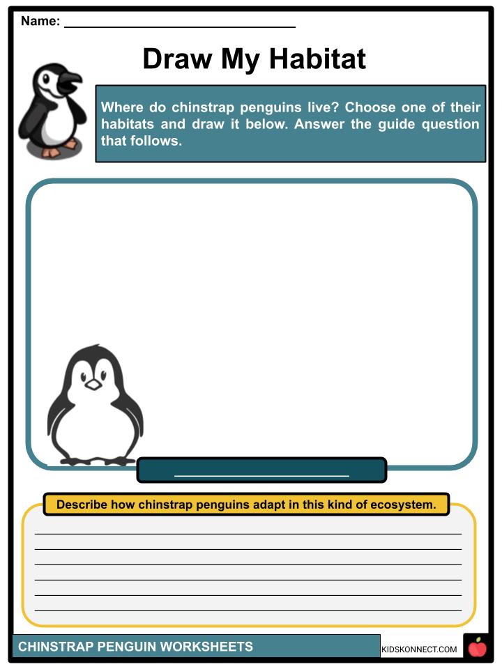Chinstrap Penguin Facts, Worksheets & Taxonomy For Kids