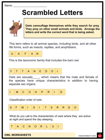 Owl Facts & Worksheets | Characteristics, Behavior, Diet, Conservation