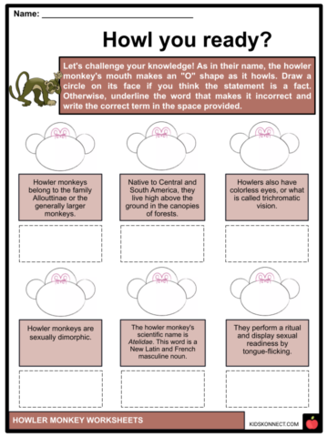 Howler Monkey Facts & Worksheets | Characteristics, Behavior, Habitat