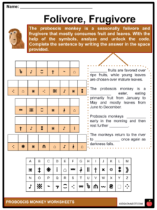 Proboscis Monkey Facts & Worksheets | Description, Behavior & Habitat