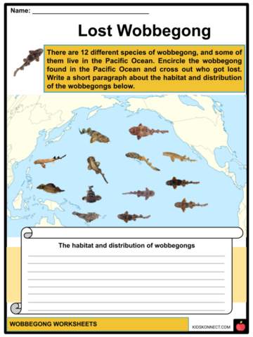 Wobbegong Facts & Worksheets | Characteristics, Behavior, Habitat
