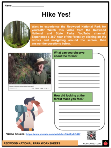 Redwood National Park Worksheets & Facts | Geography, History