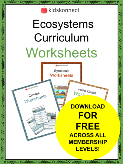 Ecosystems Curriculum, Worksheets & Lesson Plan