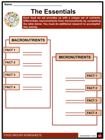 Food Groups Worksheets | Groups, Examples, Functions, Quantity