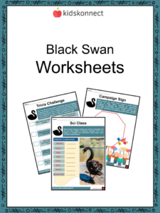Black Swan Worksheets | Features, Behavior, Conservation Status