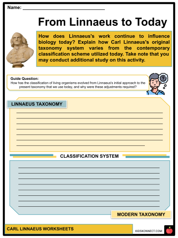 Carl Linnaeus | Expeditions, Work, Systema Naturae