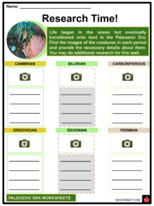 Paleozoic Era Worksheets | Era Definition, Plants & Dinosaurs