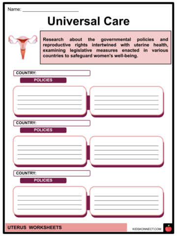 Uterus Worksheets | Anatomy, Function, Problems, Healthcare