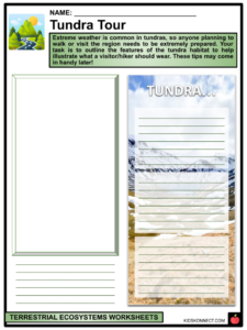 Terrestrial Ecosystems Worksheets | Components, Types, Threats