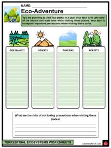 Terrestrial Ecosystems Worksheets | Components, Types, Threats